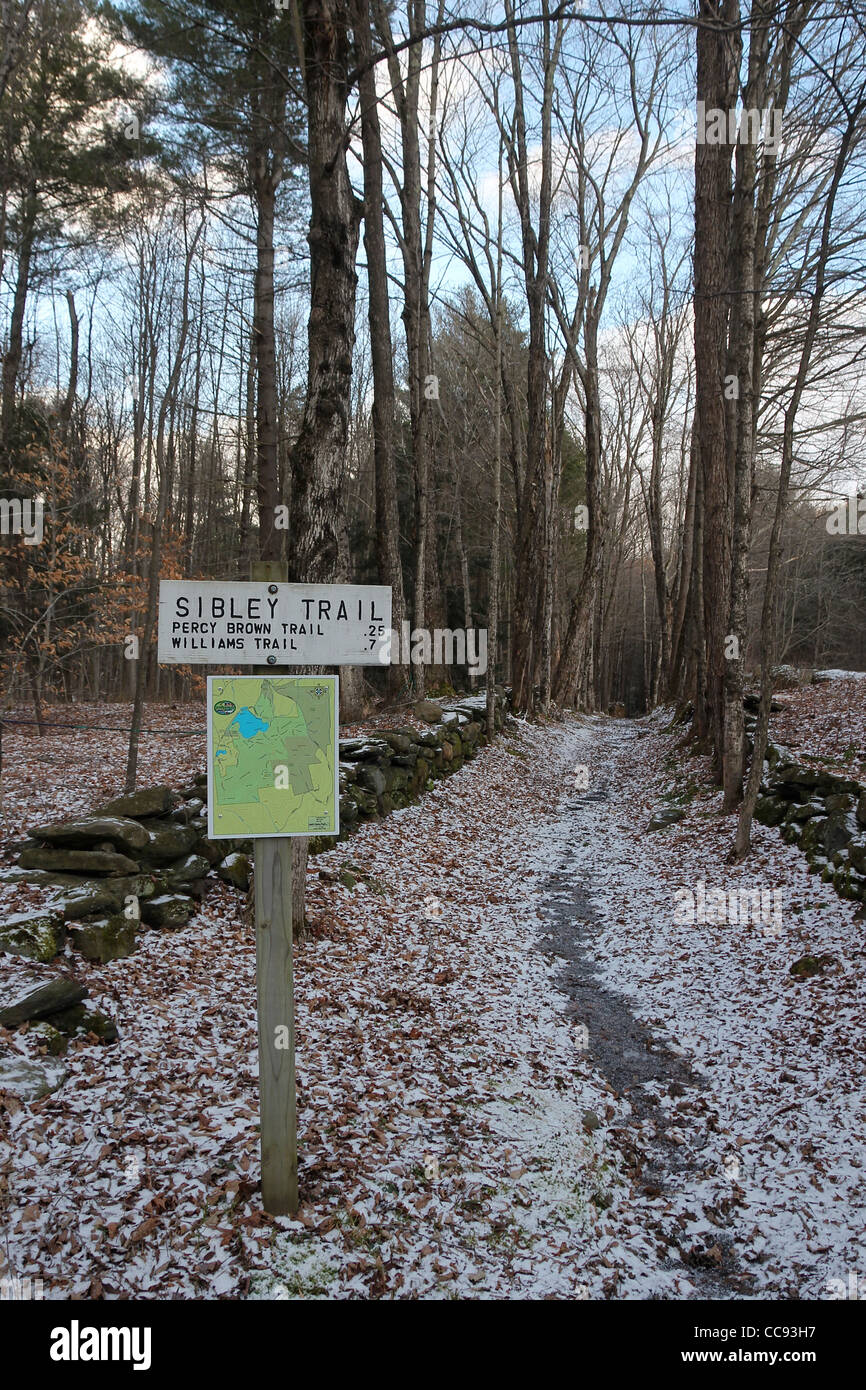 A walking trail through the woods in winter Stock Photo - Alamy