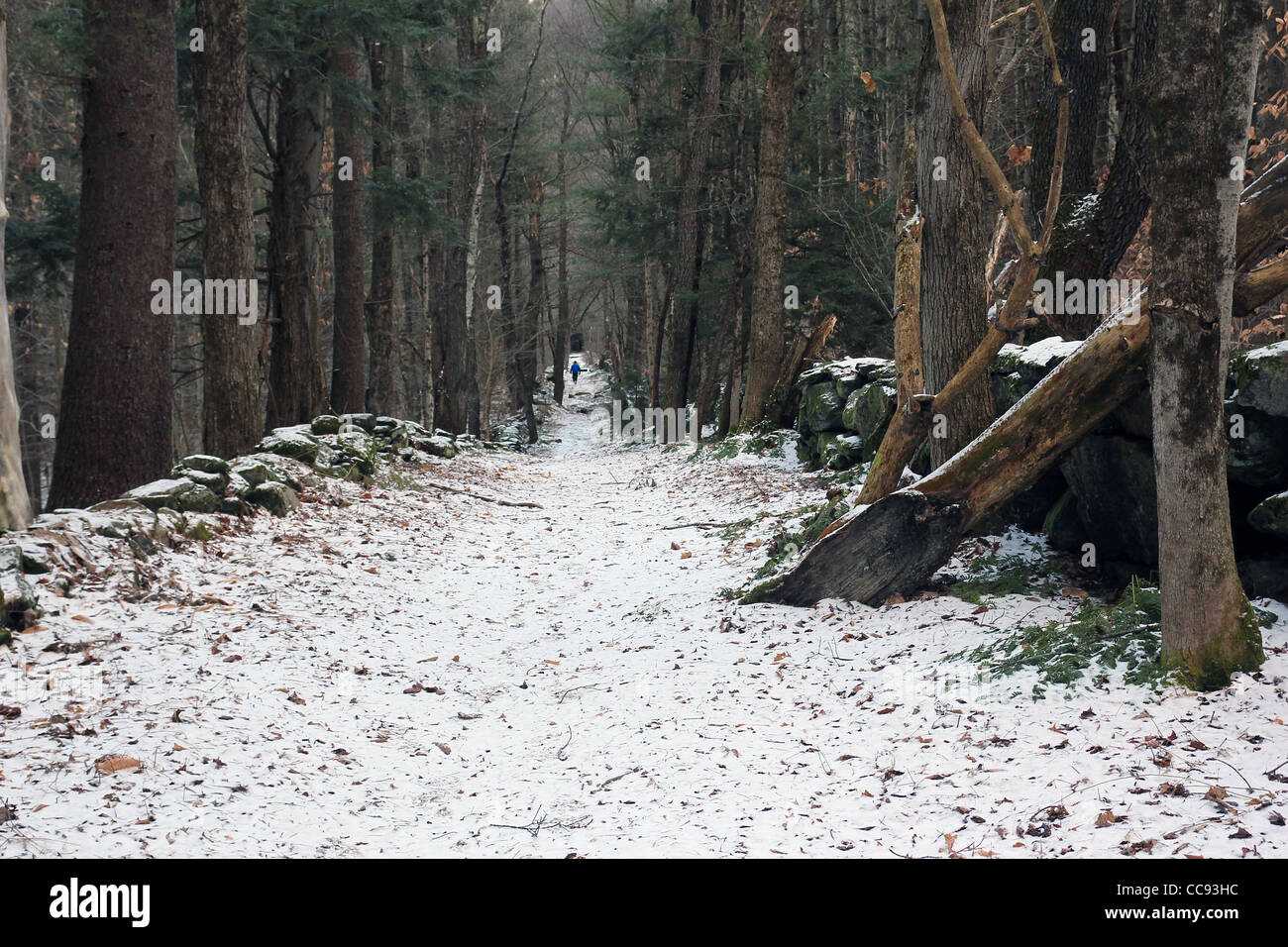 A snow-covered path, man walking in the distance Stock Photo - Alamy