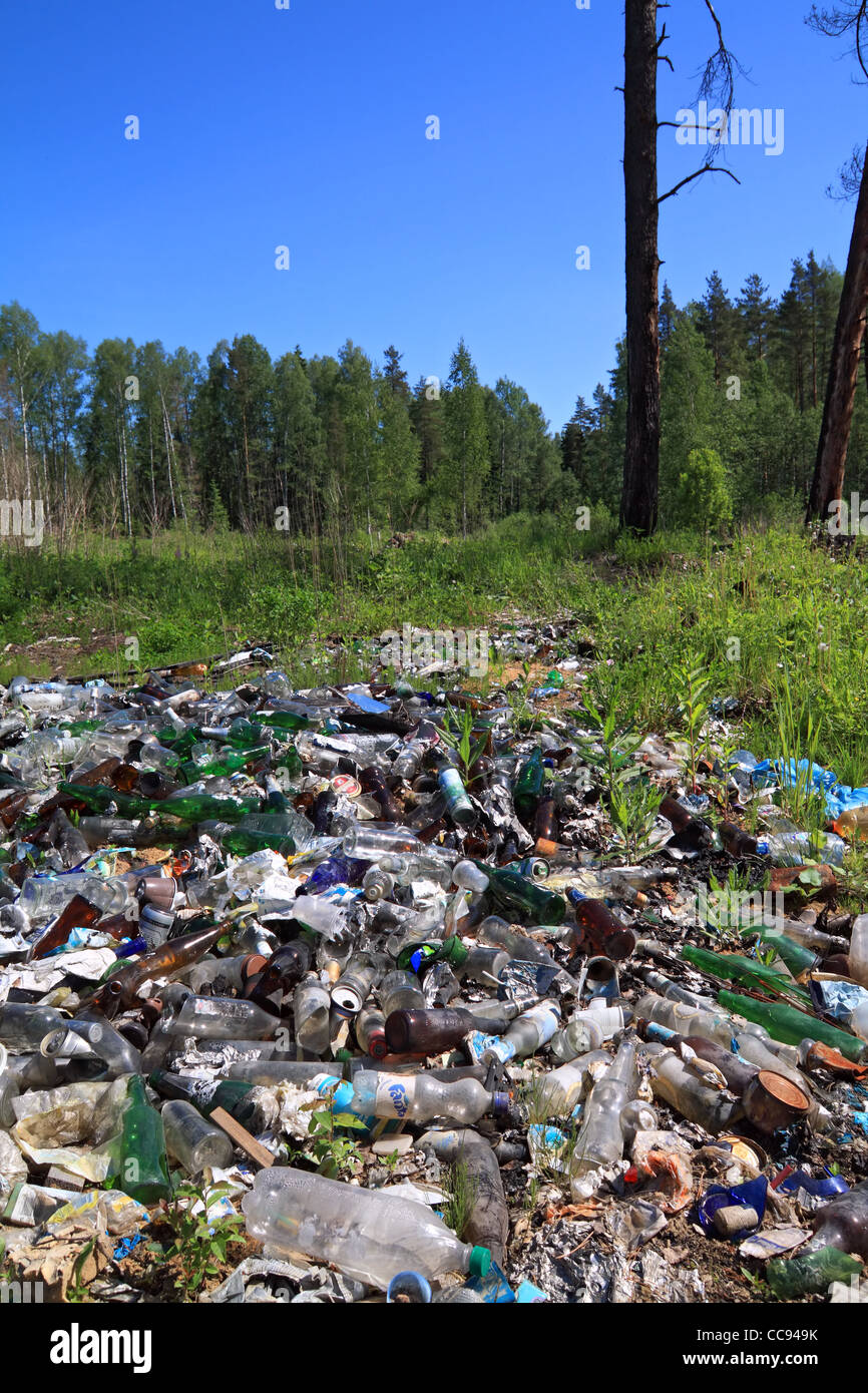 garbage pit in summer wood Stock Photo - Alamy
