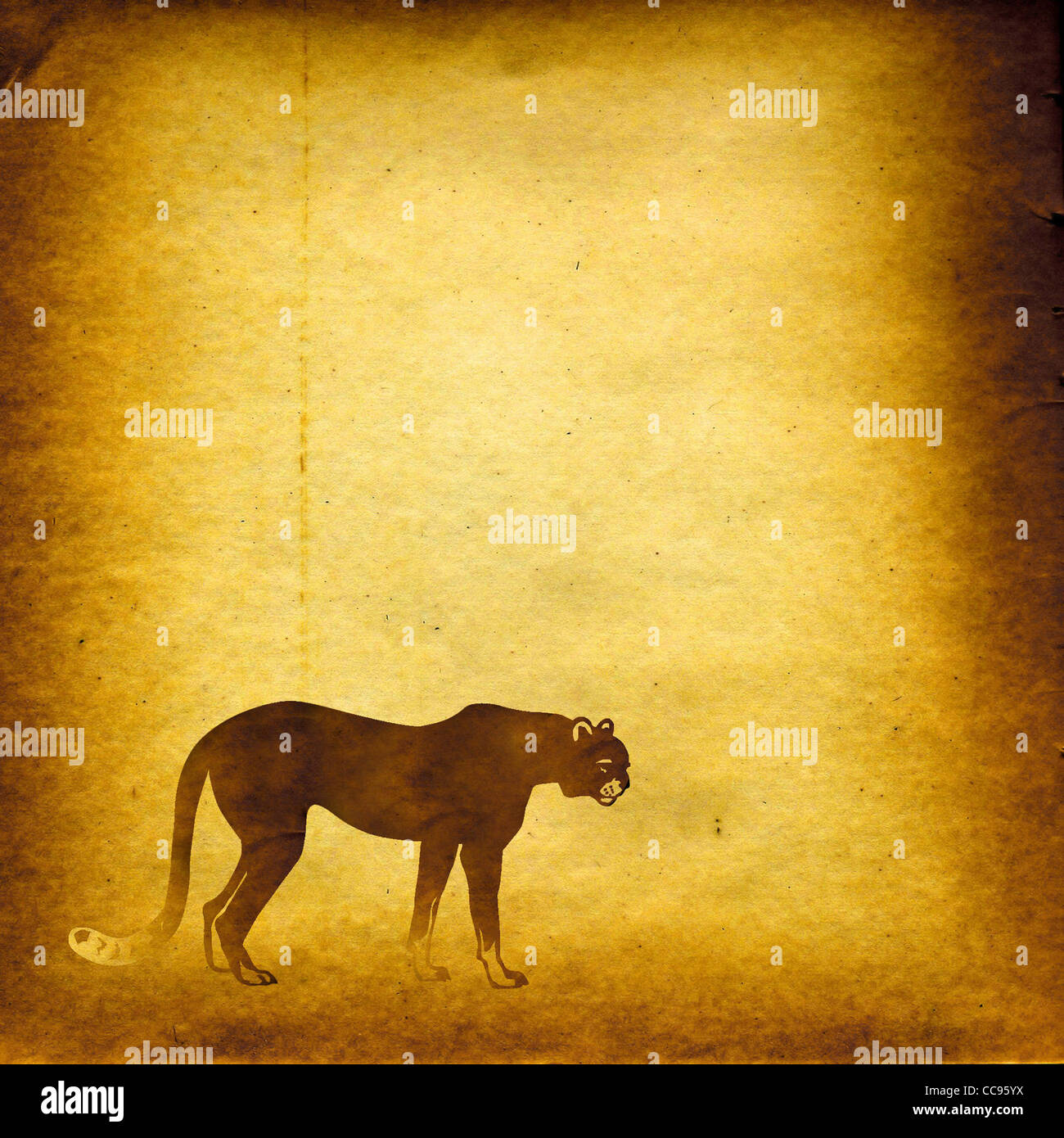 Cheeta illustration hi-res stock photography and images - Alamy