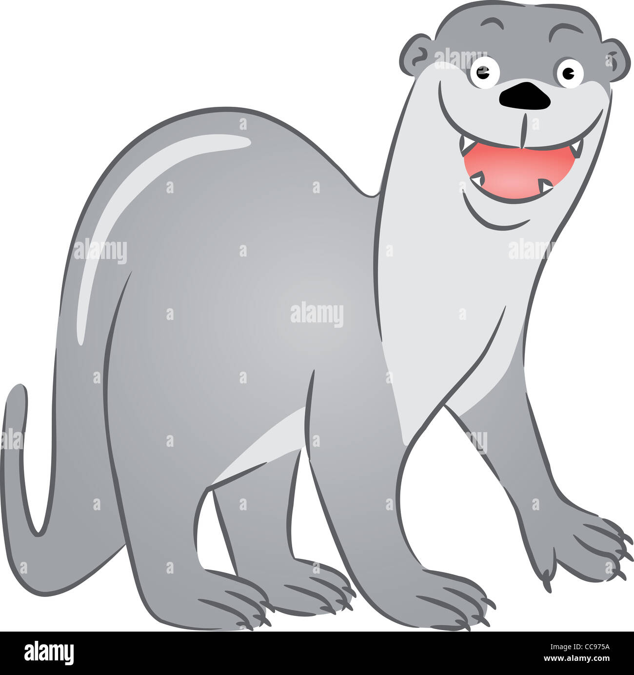 Smiling meerkat hi-res stock photography and images - Alamy