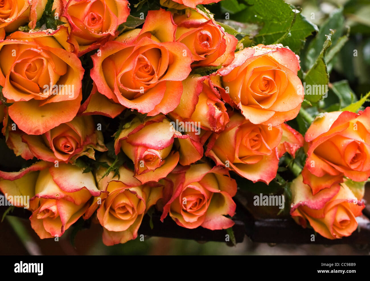 Orange roses flower bouquet hi-res stock photography and images - Alamy