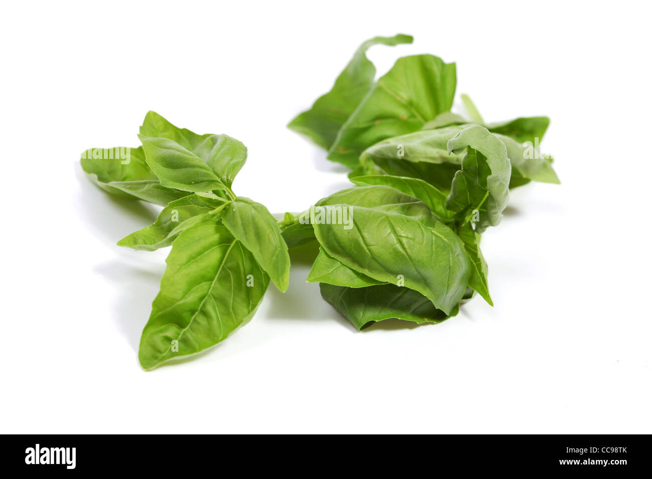 Sprigs of fresh basil isolated on white Stock Photo - Alamy