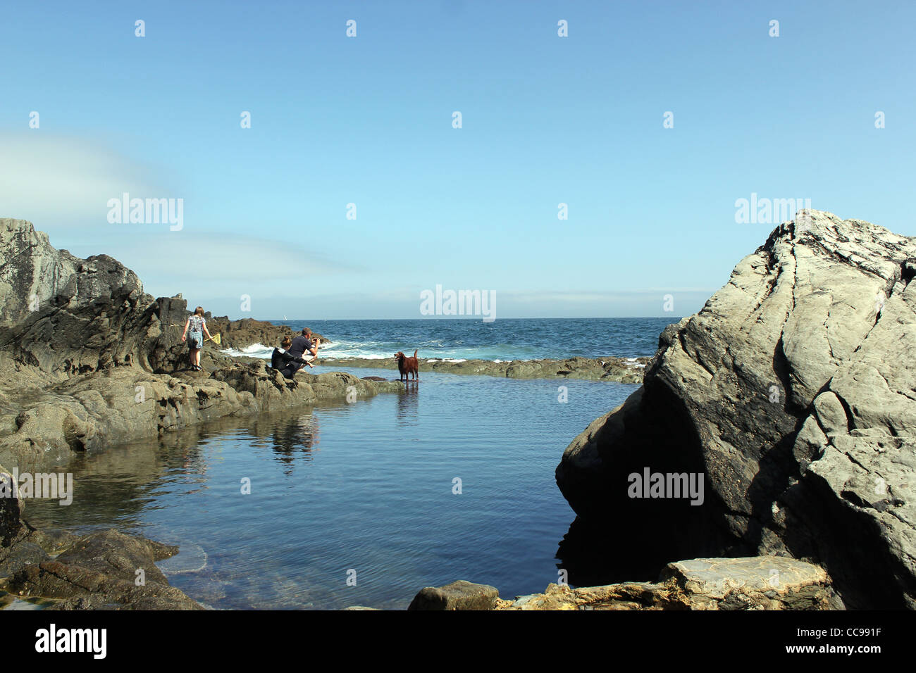 Rock pool cornwall hi-res stock photography and images - Alamy