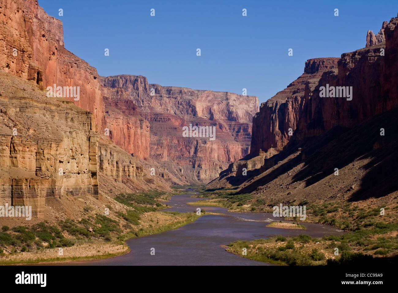 The Colorado River at the bottom of the Grand Canyon Stock Photo - Alamy