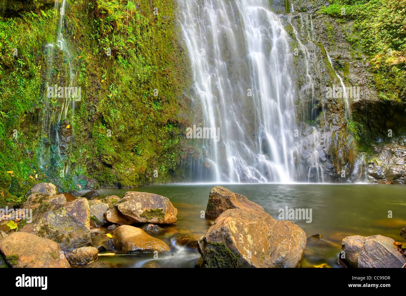 Beautiful Lush Waterfall Stock Photo - Alamy