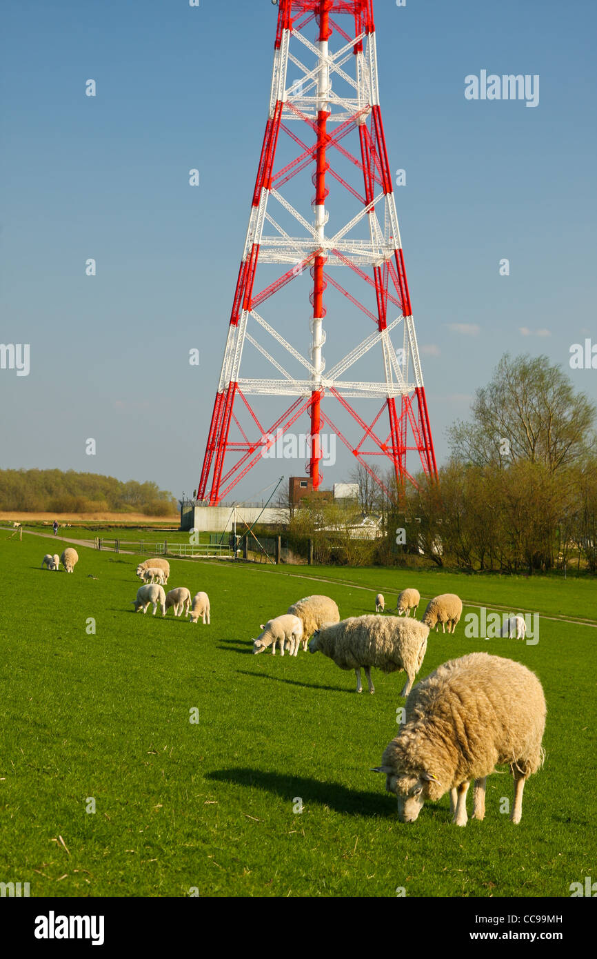 This electricity pylon located in Hetlingen, near Hamburg, is Europes ...