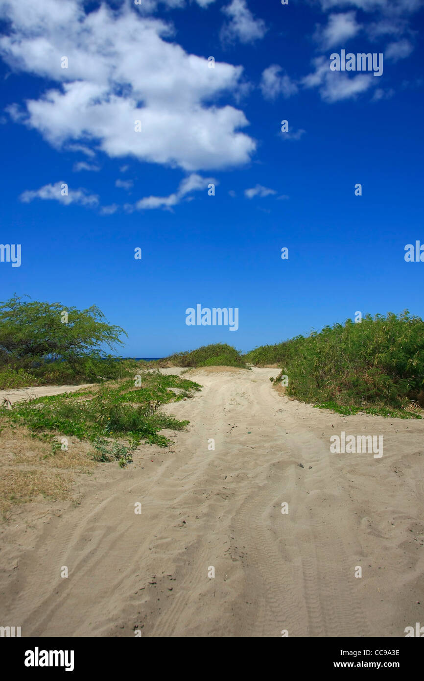 Street through a sandy beach area Stock Photo - Alamy
