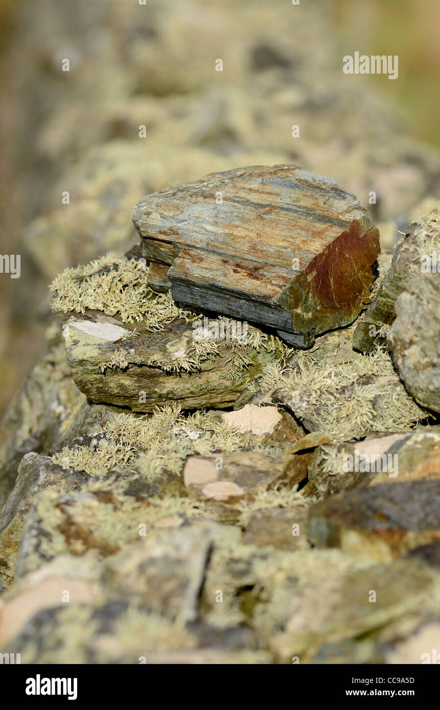 Cornish hedge dry stone wall hi-res stock photography and images - Alamy