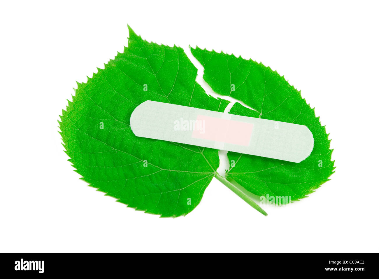 Environment protection, green leaf bandaged with white patch Stock ...