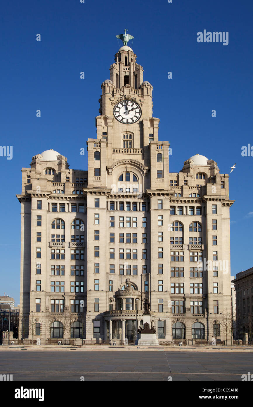 Liver building hi-res stock photography and images - Alamy