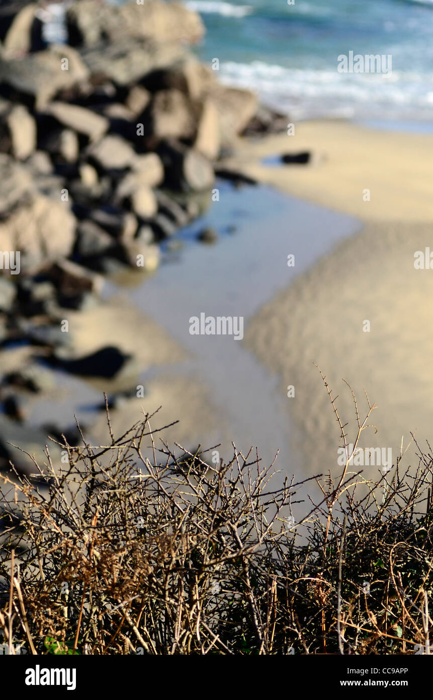Housel cove hi-res stock photography and images - Alamy