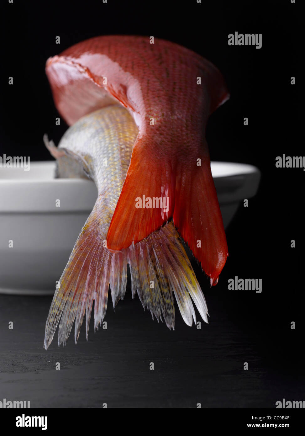 Fish in Bowl Stock Photo - Alamy