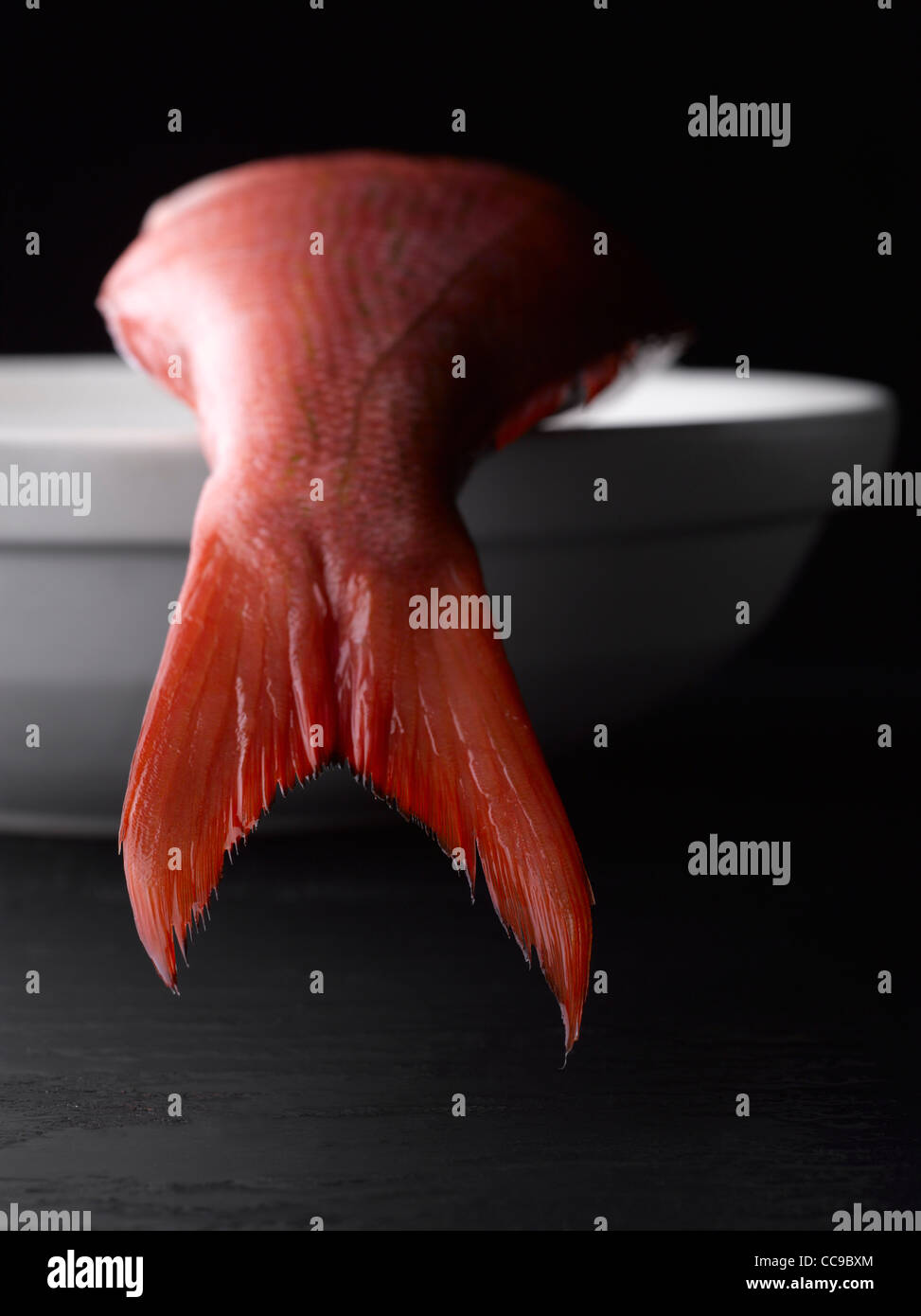 Lone fish in sea hi-res stock photography and images - Alamy