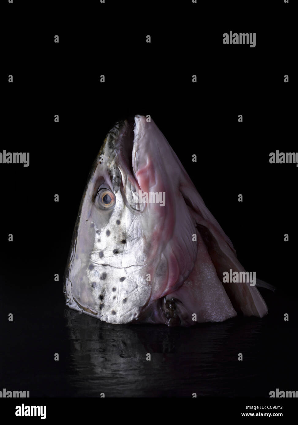 Fish without head hi-res stock photography and images - Alamy