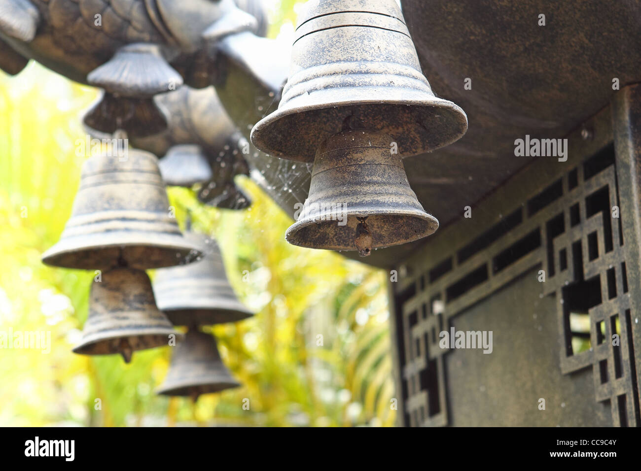 Kiss on the temple hi-res stock photography and images - Alamy