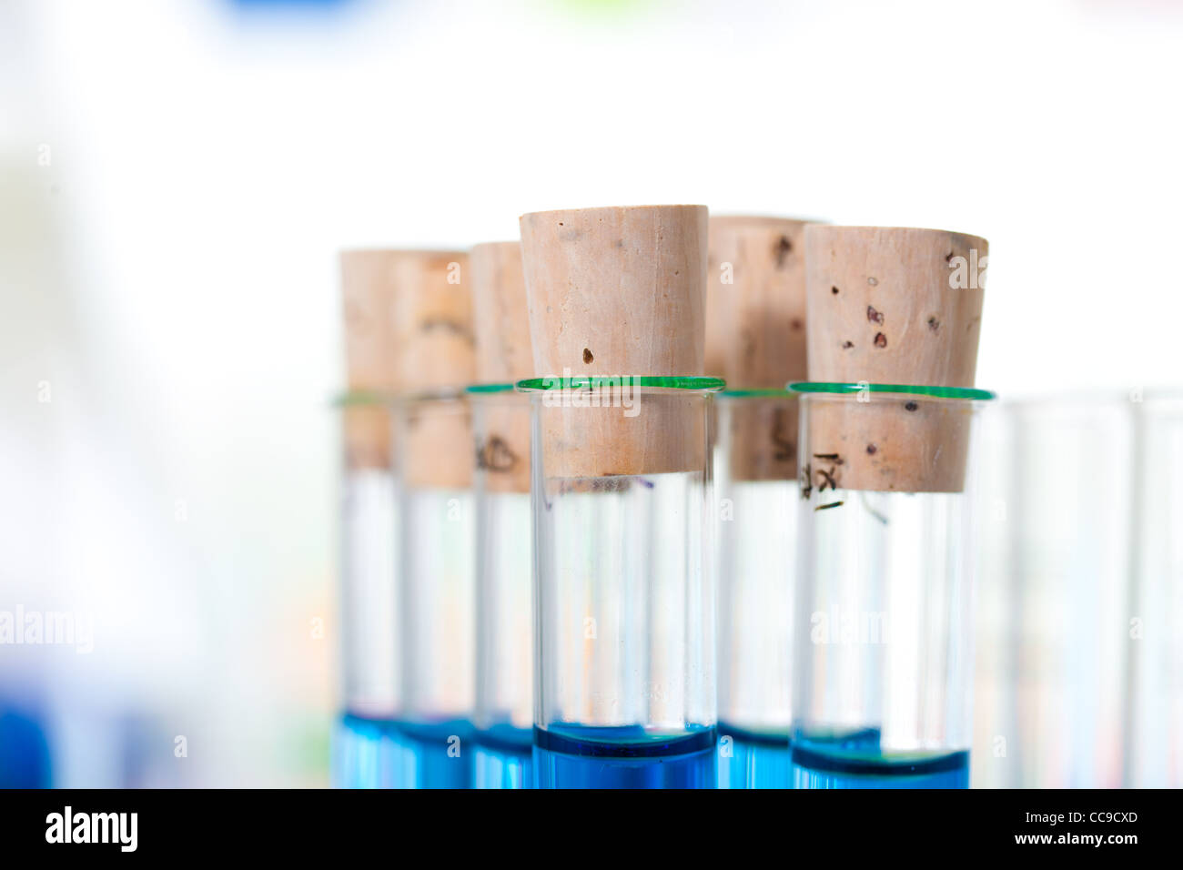 Chemical liquid sample tubes Stock Photo - Alamy