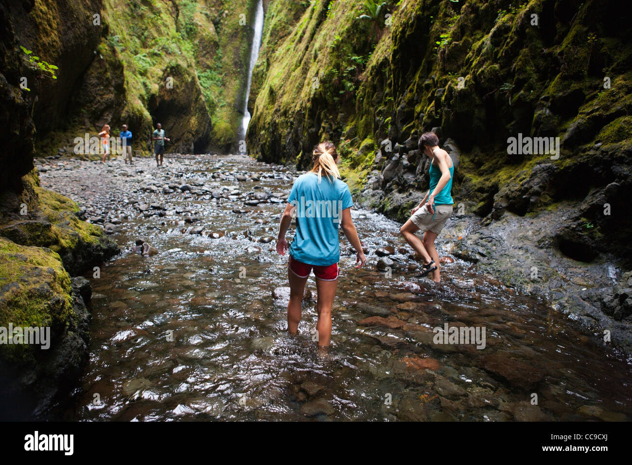 People Hikingin Oneonta Gorge, Oregon, USA Stock Photo - Alamy