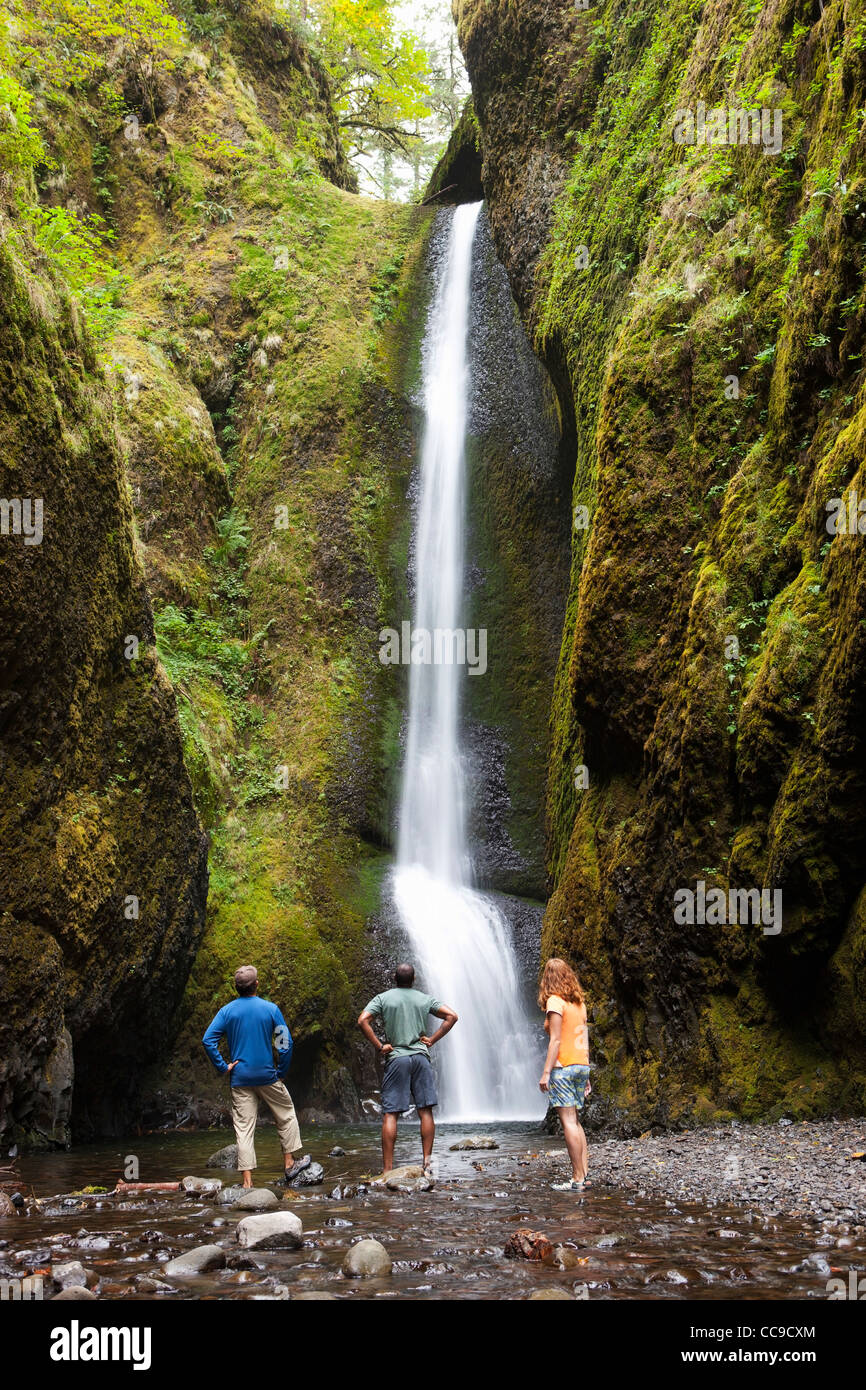 People Hiking and Looking at Waterfall, Oneonta Gorge, Oregon, USA ...