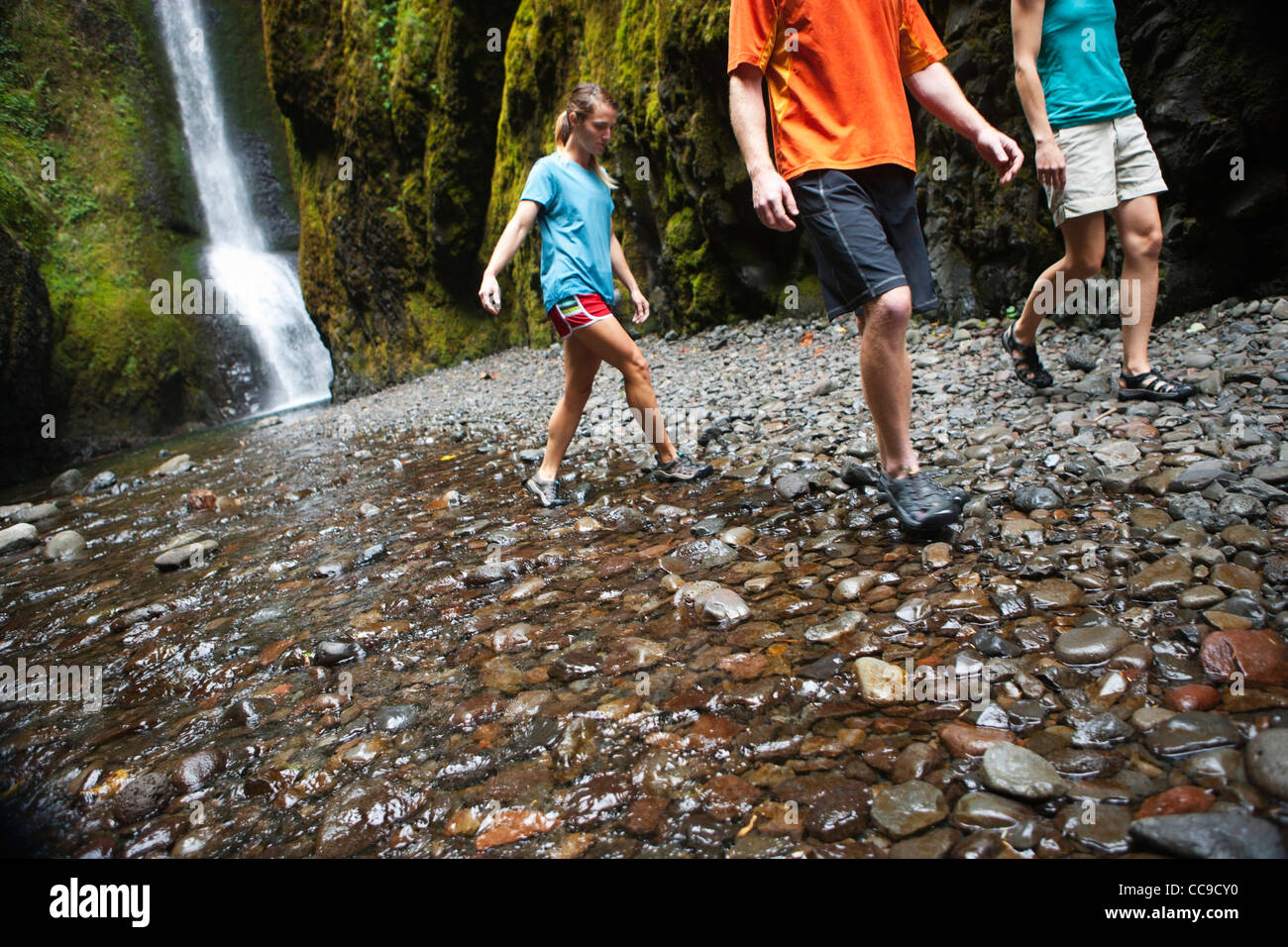 People Hiking in Oneonta Gorge, Oregon, USA Stock Photo - Alamy