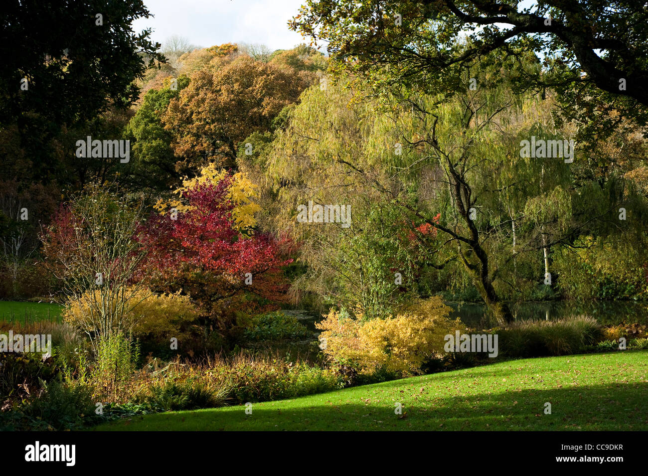 The Lake in autumn, RHS Rosemoor, Devon, England, United Kingdom Stock ...
