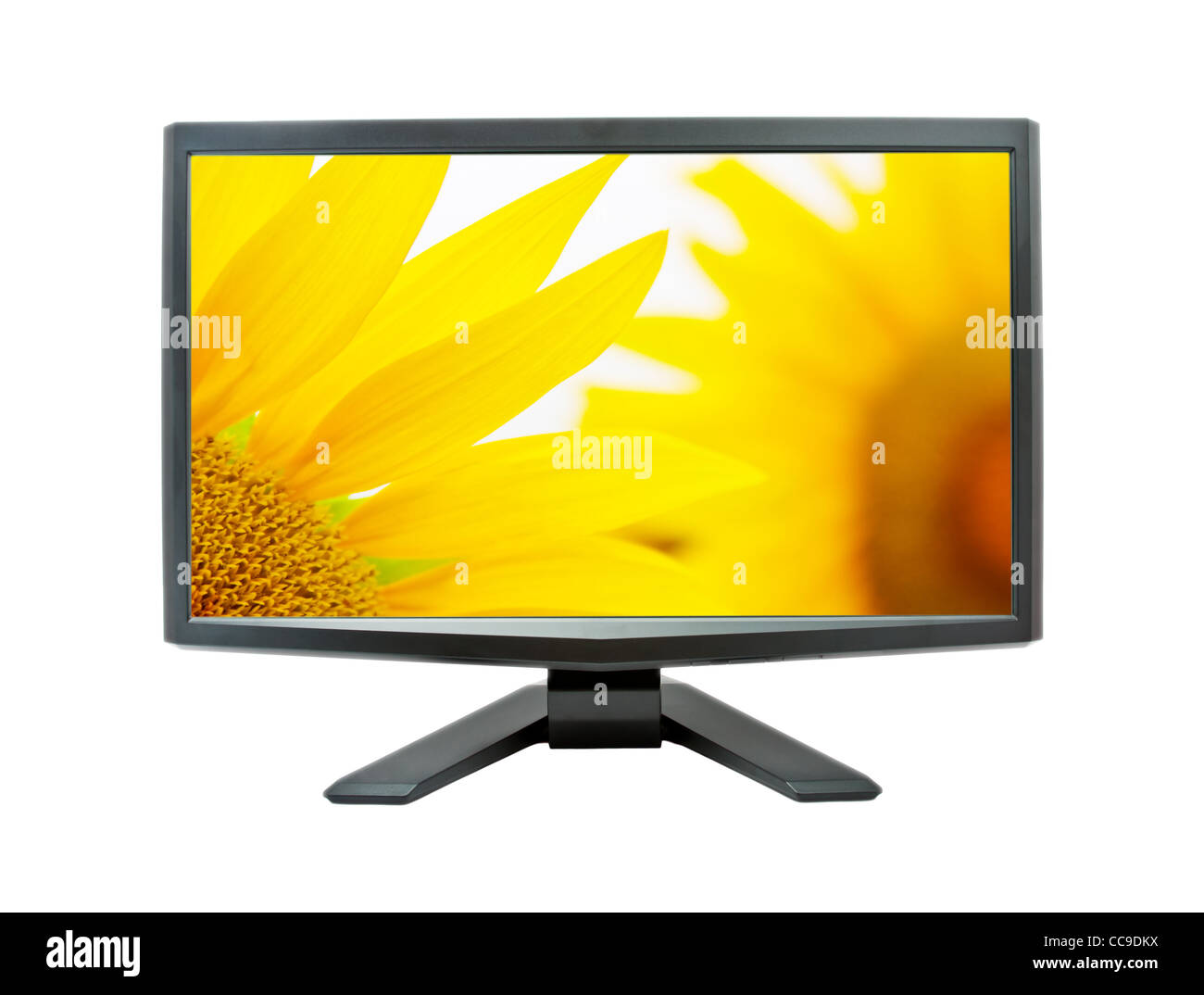 Monitor with sunflowers on screen. Isolated on white Stock Photo - Alamy