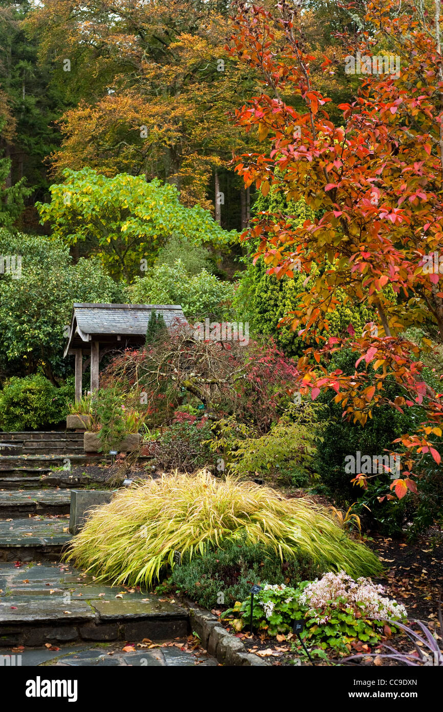 The Stone Garden in autumn, RHS Rosemoor, Devon, England, United ...