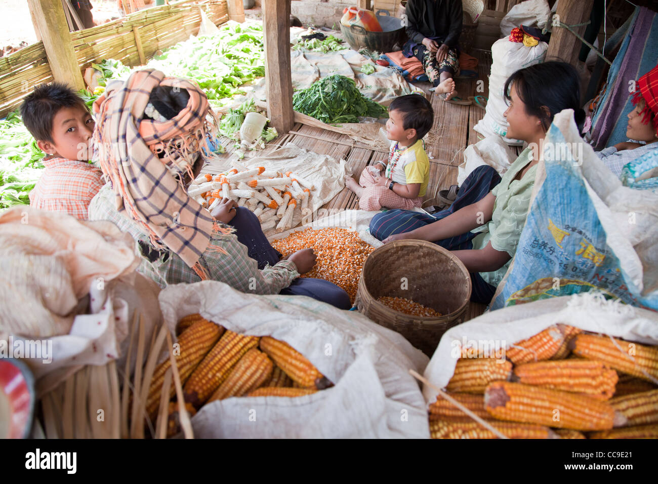 Pa-O tribal woman and kids in native costume are sitting around corn ...