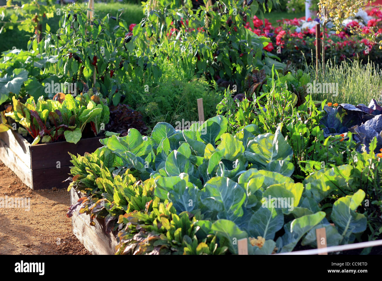 Raised beds hi-res stock photography and images - Alamy