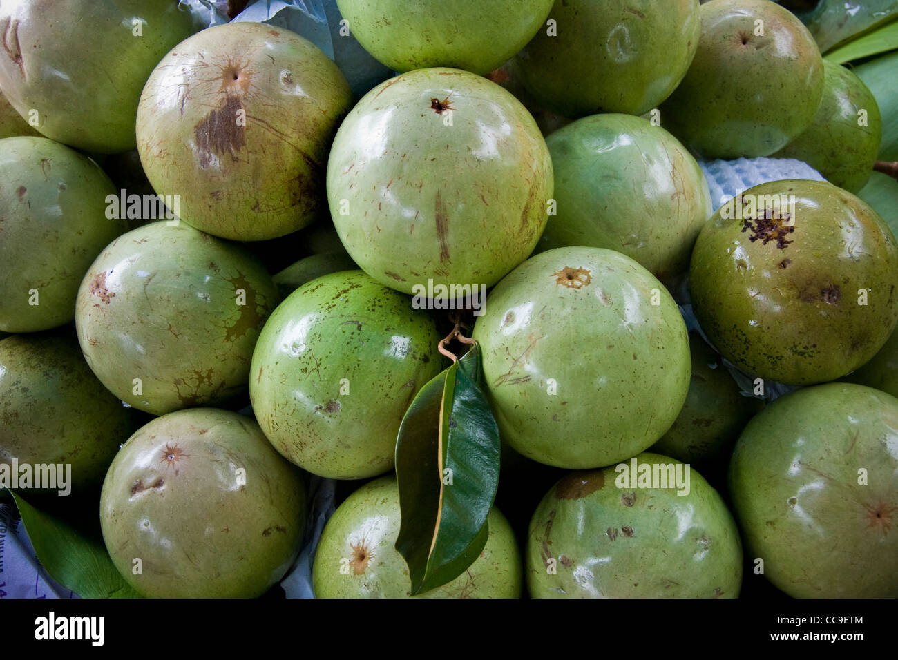 Star apples, Traditional fruits, Vietnam Stock Photo - Alamy
