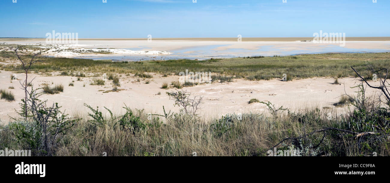 Etosha pan national park hi-res stock photography and images - Alamy