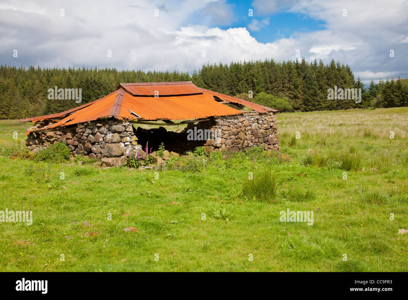 Vernacular hi-res stock photography and images - Alamy