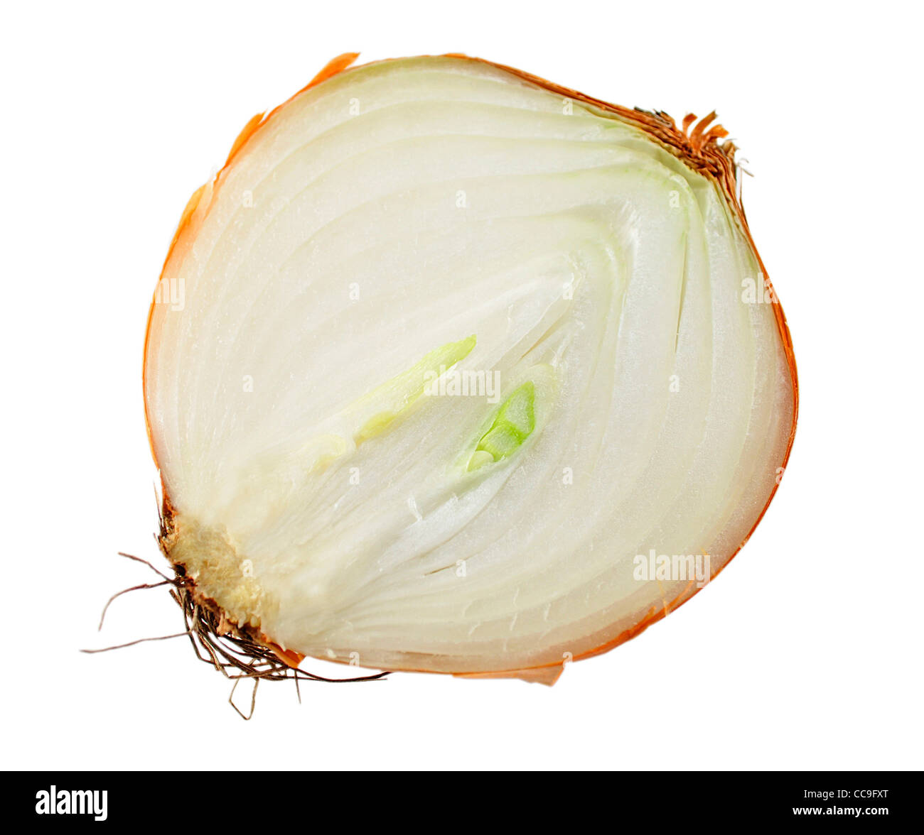half of onion on white background Stock Photo - Alamy
