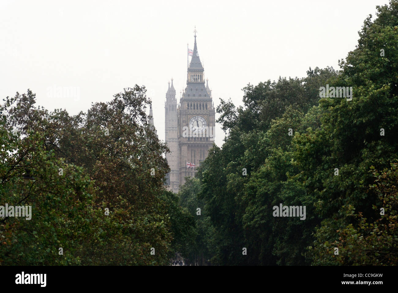 Big ben behind trees, London England,UK Stock Photo - Alamy