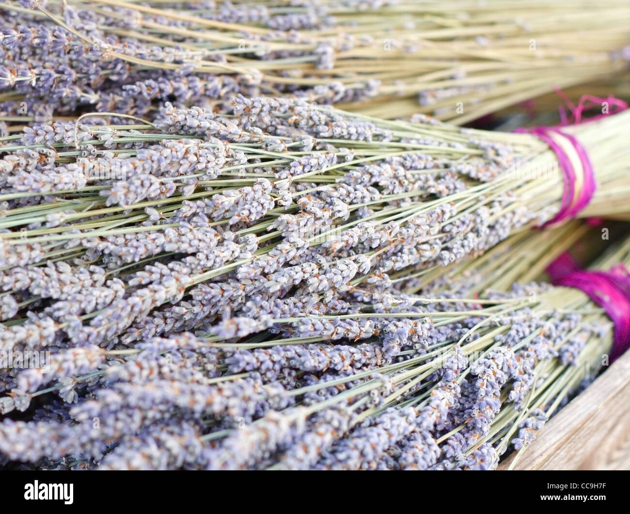 Dried lavender france hi-res stock photography and images - Alamy