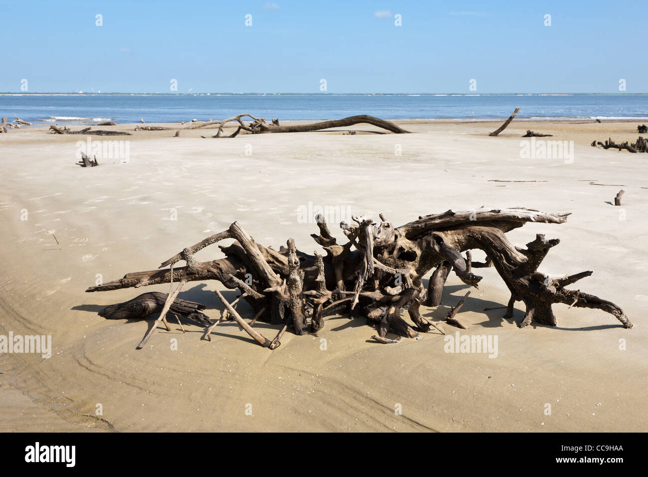 Erosion roots hi-res stock photography and images - Alamy