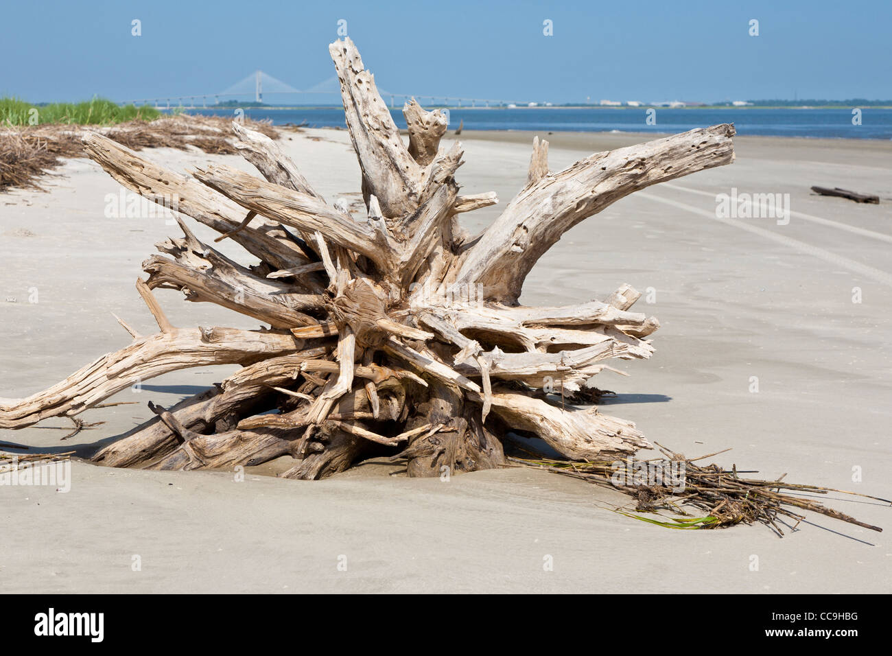 Erosion roots hi-res stock photography and images - Alamy