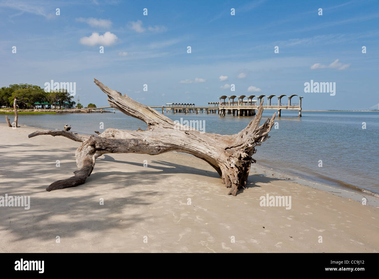 Beach with tree hi-res stock photography and images - Alamy