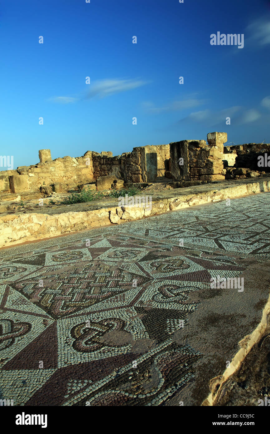 Ancient Greek mosaic. Kato Paphos Archaeological Park. Paphos, Cyprus ...
