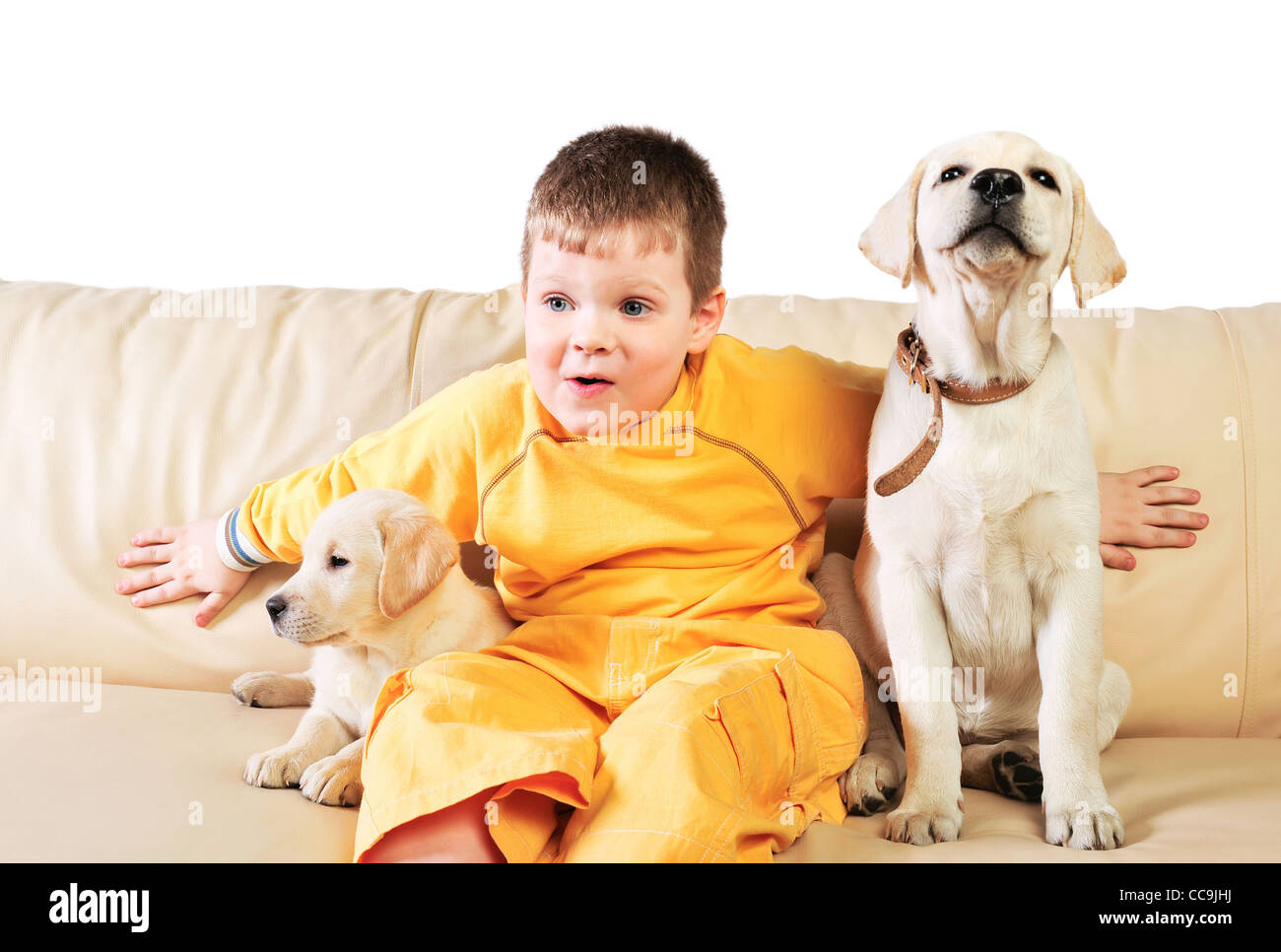 Handsome Young Boy Playing with His Two Dogs Against White Background ...