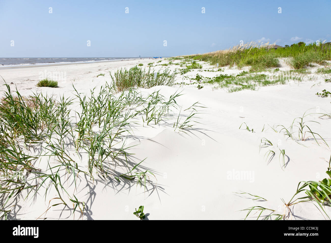 Plants and grasses on the sand dunes prevent beach erosion on the wide ...
