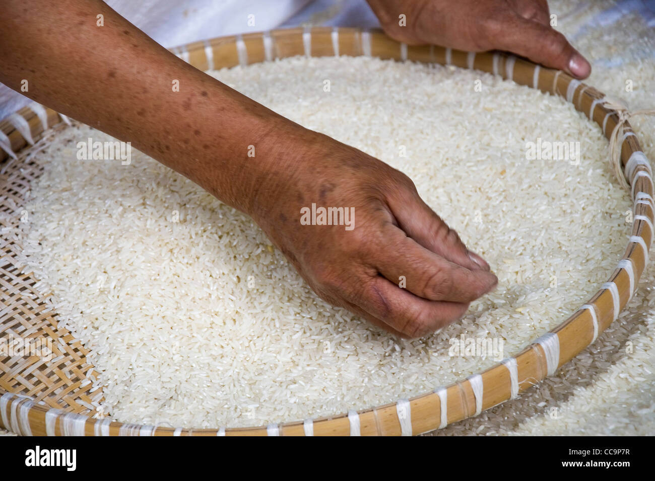 Rice, Mekong delta, Vietnam Stock Photo - Alamy