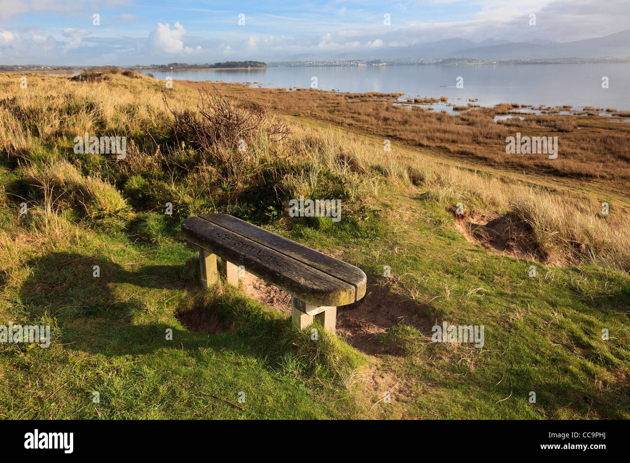 Bench seat on coastal dunes in Tywyn Niwbwrch National Nature Reserve ...