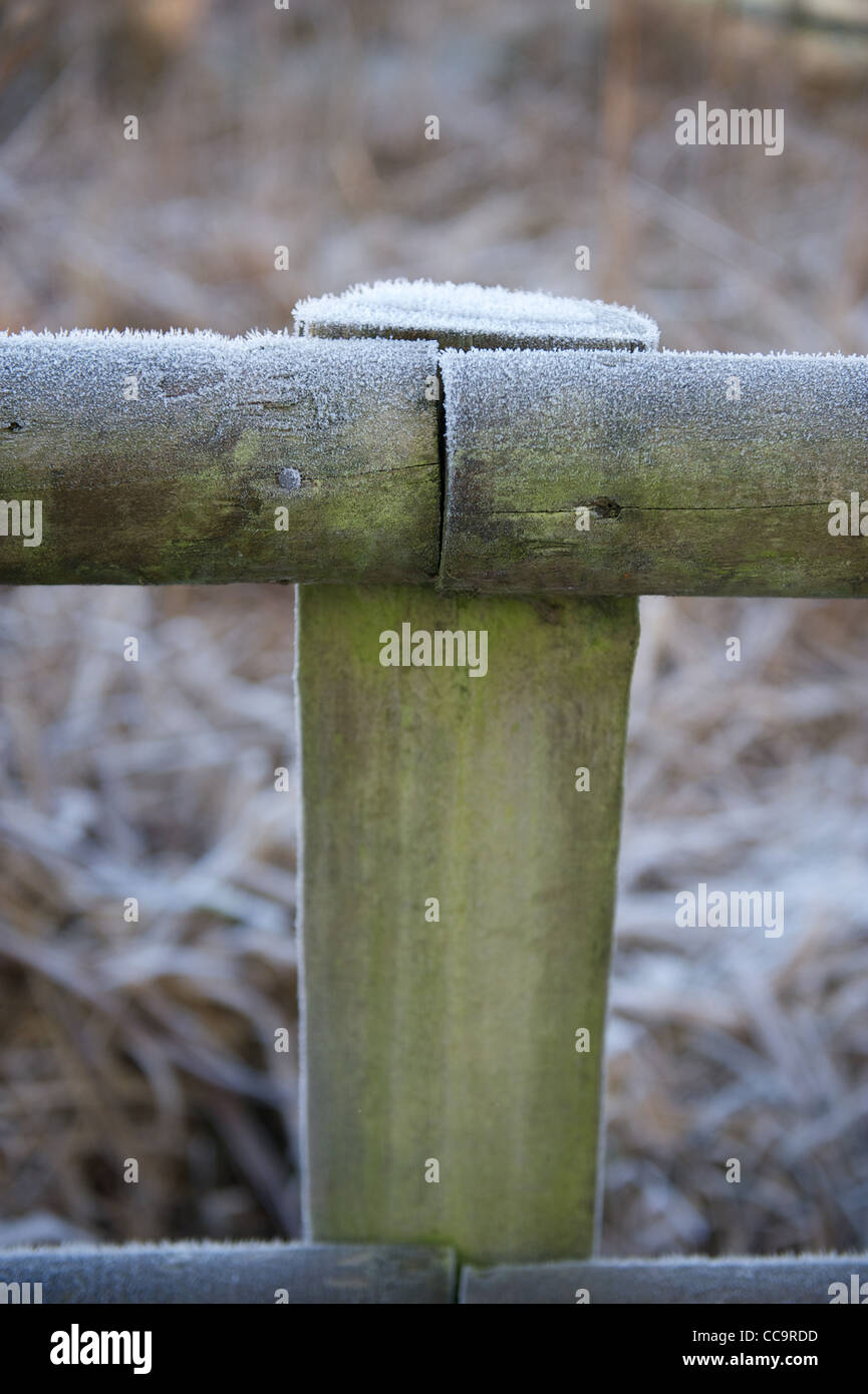 Fence post in the frost Stock Photo - Alamy