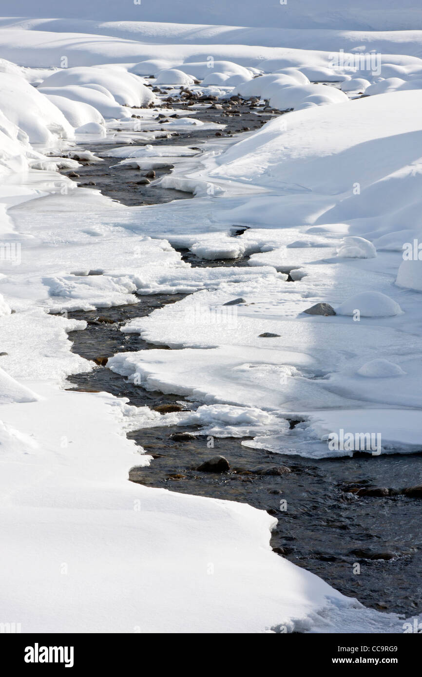 Stream stream wasser hi-res stock photography and images - Alamy