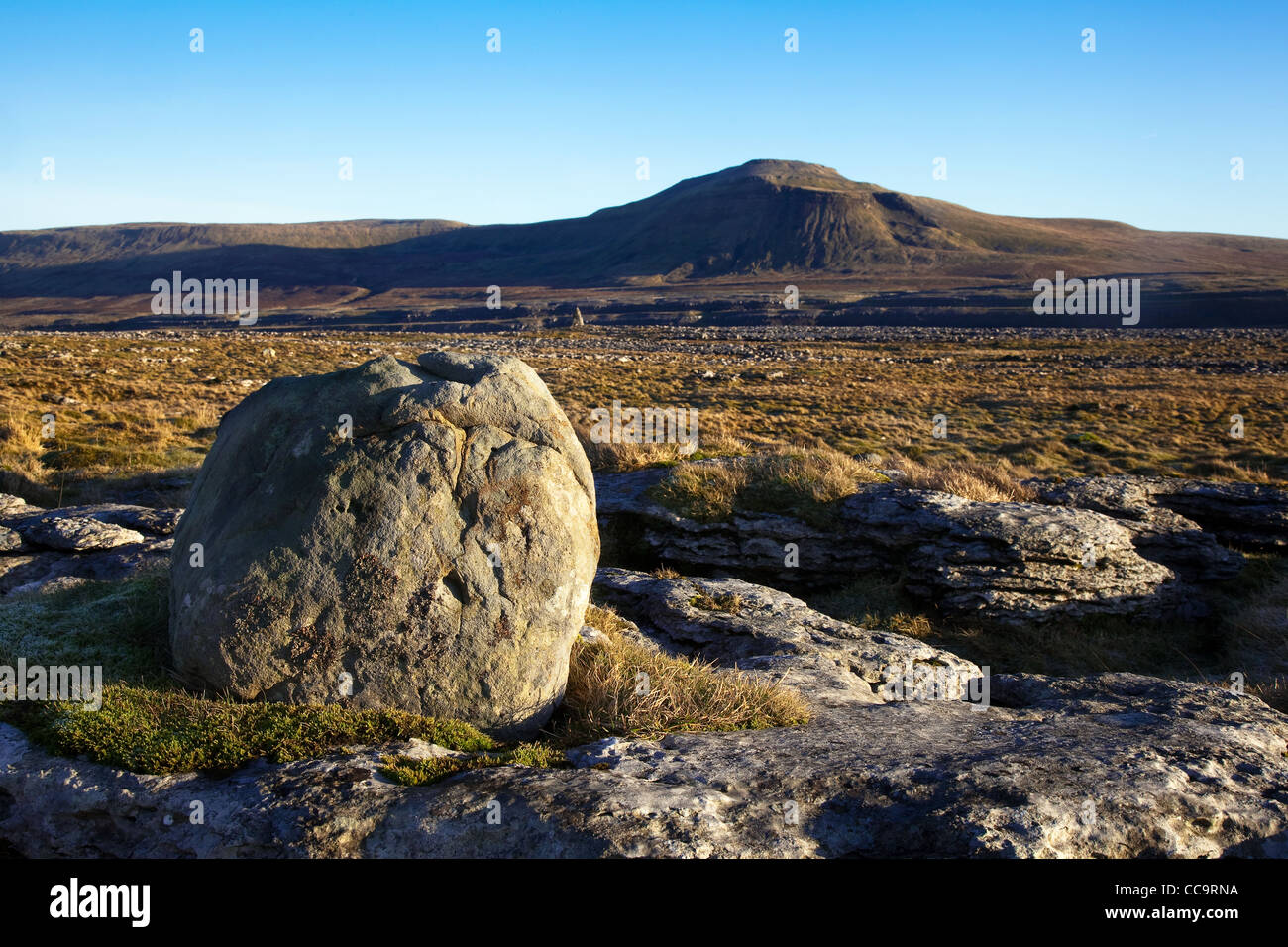 Scars On Land High Resolution Stock Photography and Images - Alamy