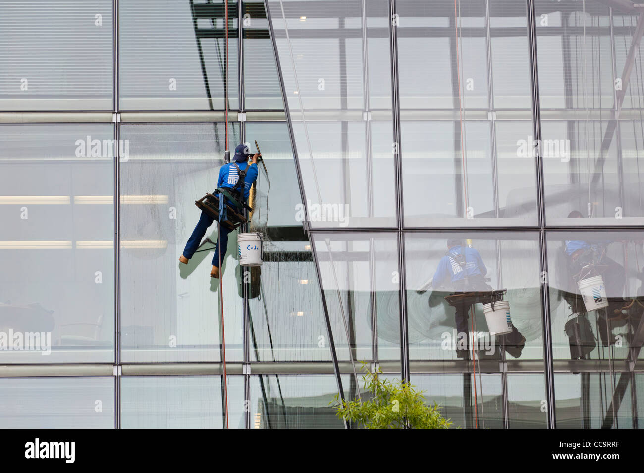 High rise window cleaner sitting in a bosun's chair Stock Photo - Alamy
