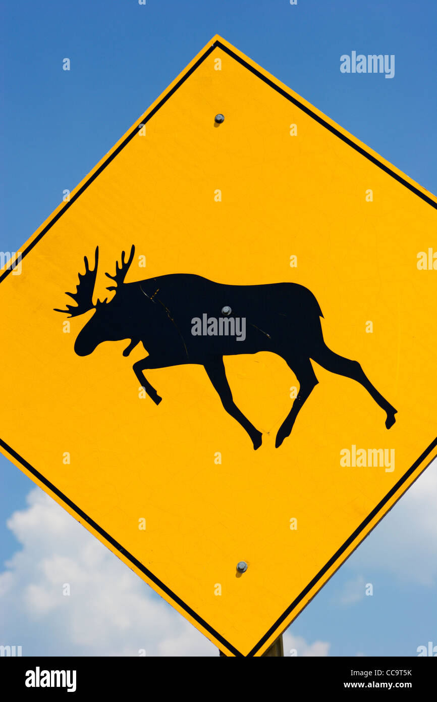 Moose crossing traffic sign Ontario Canada Stock Photo - Alamy