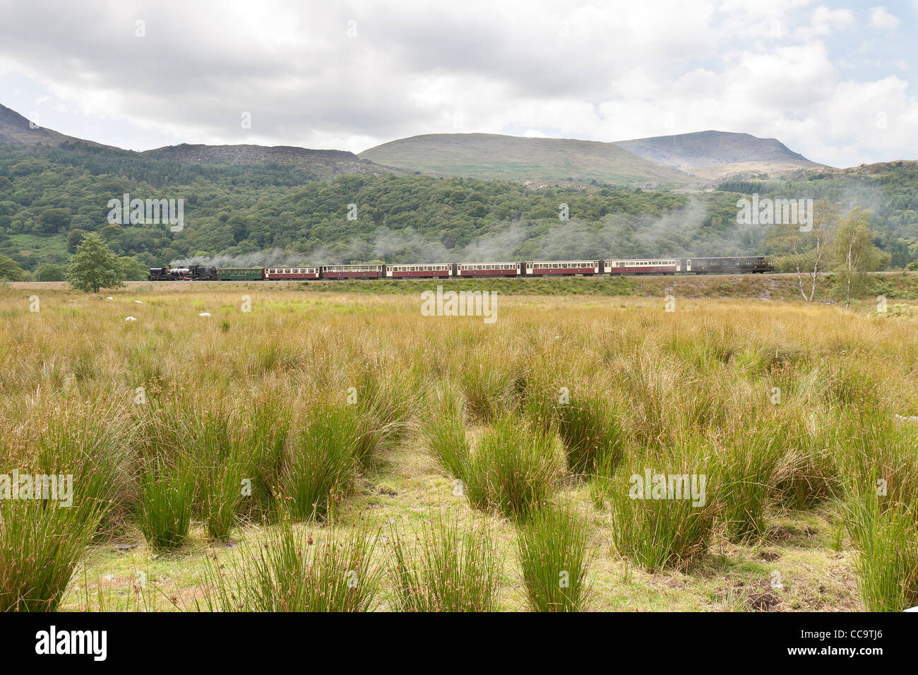 A steam locomotive with a passenger train on the Welsh Highland Line ...