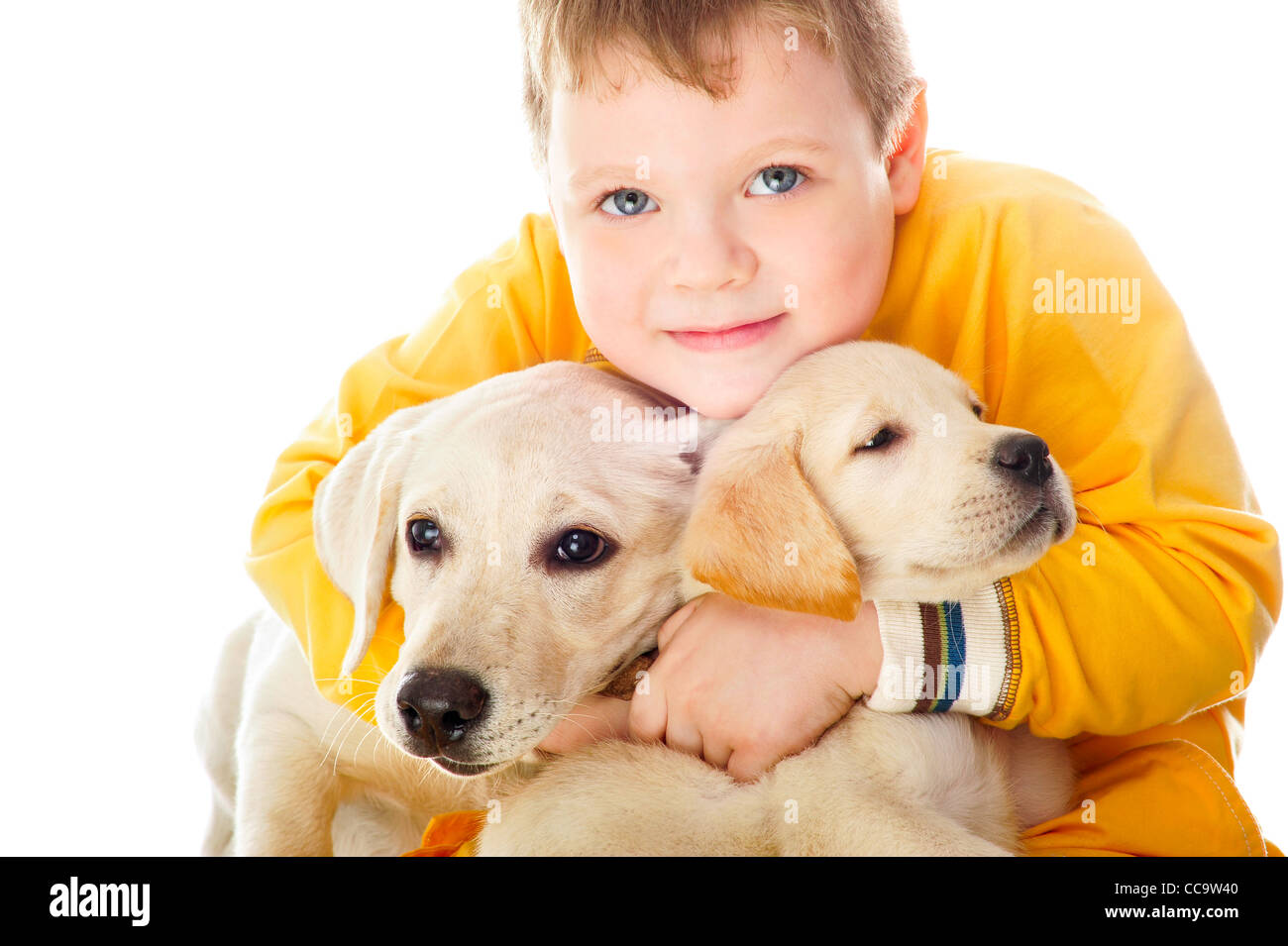 Handsome Young Boy Playing with His Two Dogs Against White Background ...